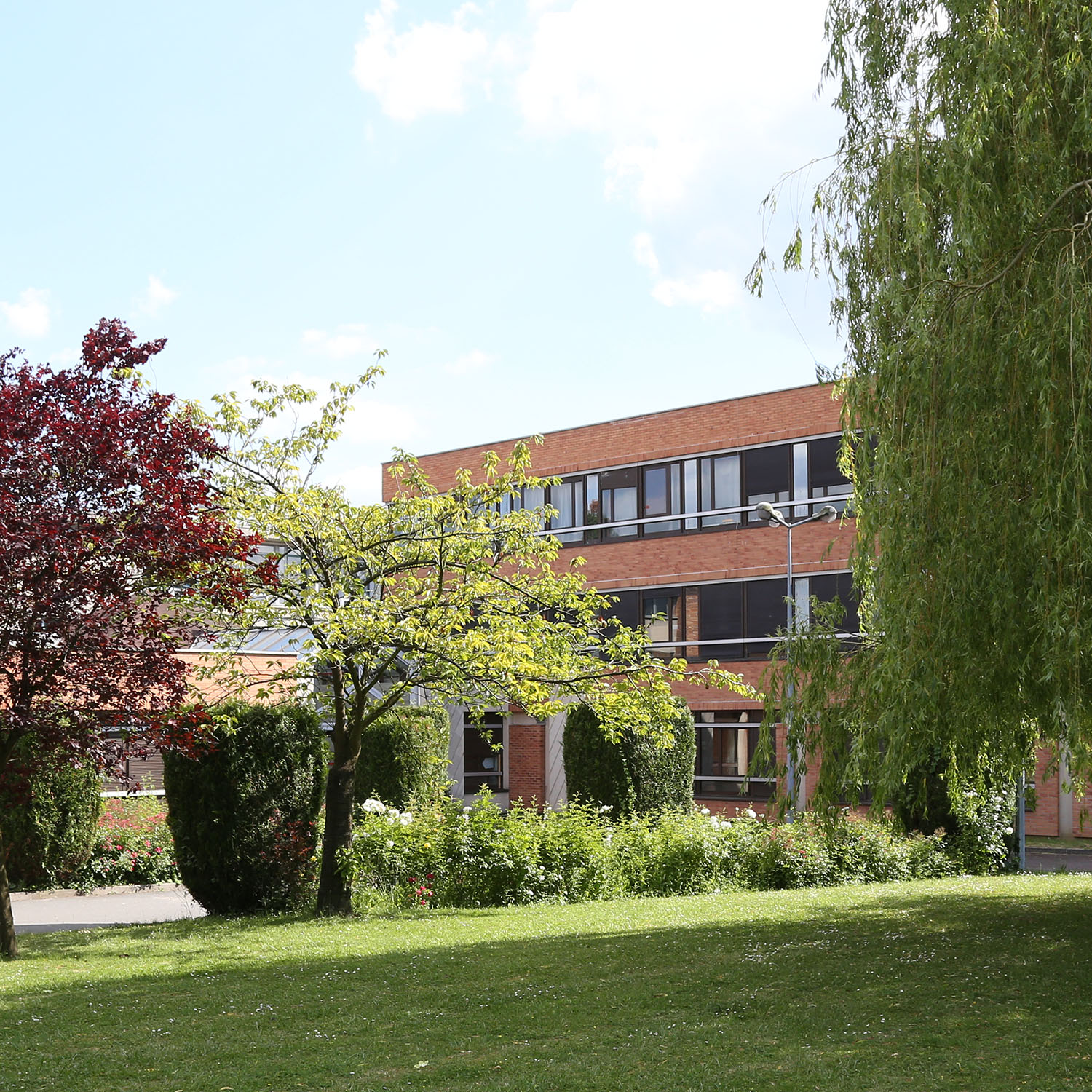Découvrir le lycée – LPO Elisa Lemonnier